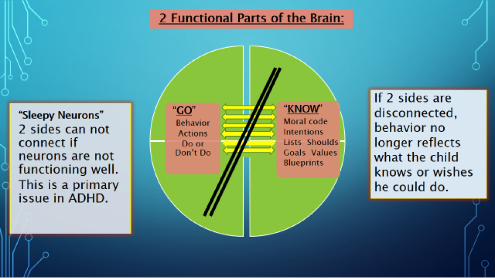 Understand Your Kid's ADHD Brain to Be a Better Parent - ImpactParents