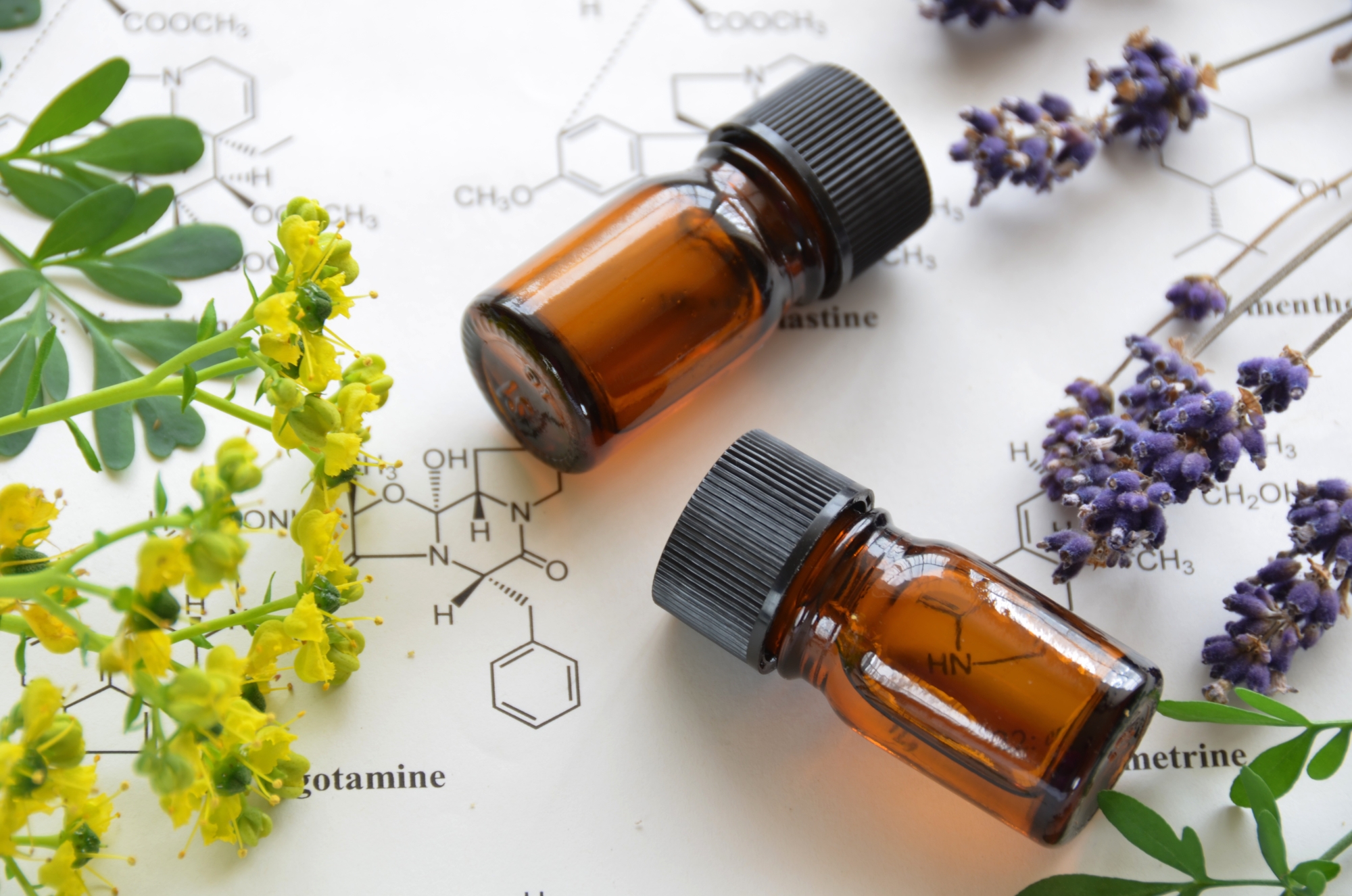 How to Use Essential Oils for ADHD - ImpactParents